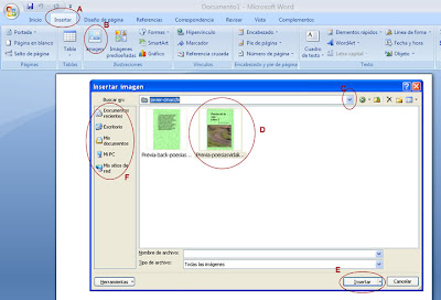 Daniel Alejandro Reyes Alvarez: MENÚ INSERTAR DE WORD 2007