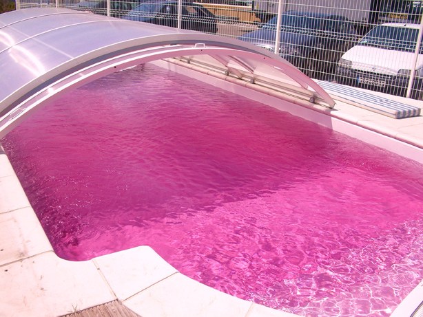 TODO PARA MI PISCINA/ TOUT POUR MA PISCINE: COLOR EN TU PISCINA