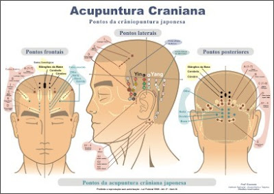 instituto holistico cintia de cassia: ynsa - craniopuntura de yamamoto