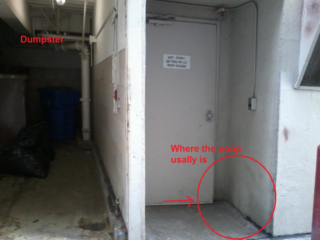 #7 Security Poop Again | being a building manager is awful