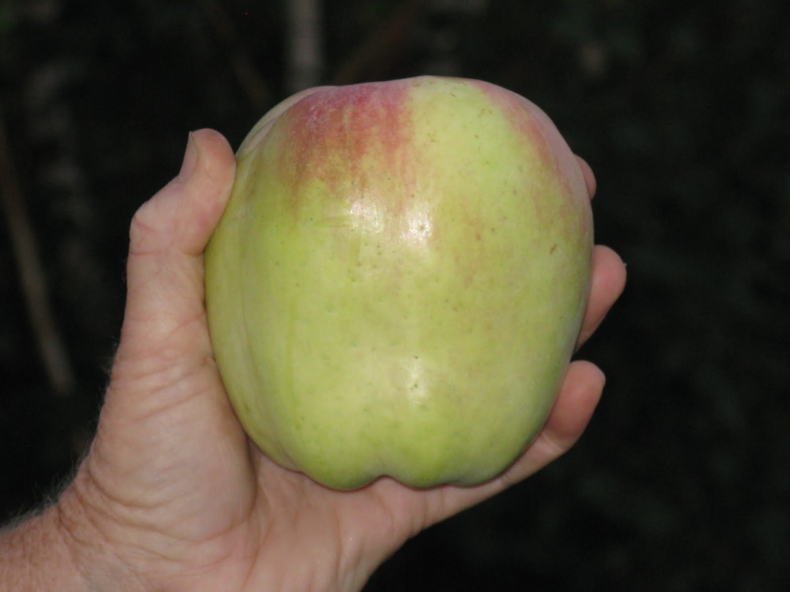 linsueray: Outdoor Wednesday...the big apple style...