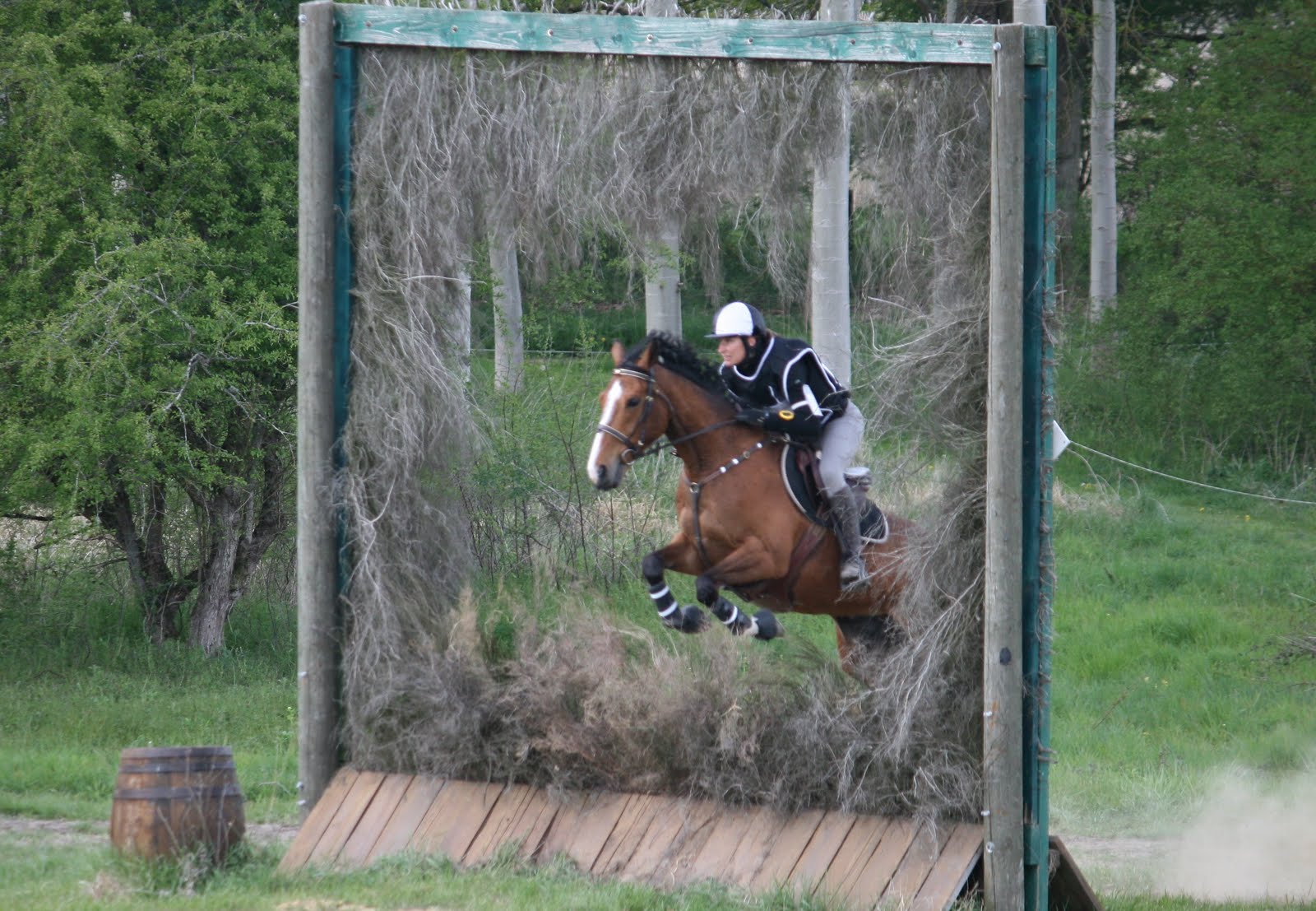 Photos souvenirs: Equitation CCE Tours