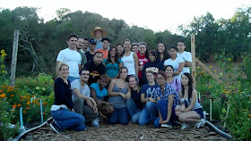 Living Justly or Just Living: Thinking and Acting Systemically in a ...