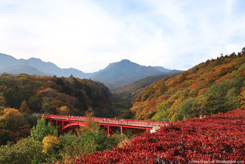 My Life Photoshoot - RSS Feed: Yamanashi Prefecture