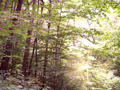 Webshots' - Scenery_25 || Awesome Background Wallpapers Free Download ...