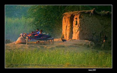 Artistic Photos || Inspiring Images Free Download || Beautiful Sunset ...