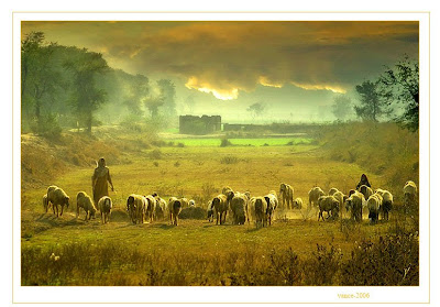 Artistic Photos || Inspiring Images Free Download || Beautiful Sunset ...