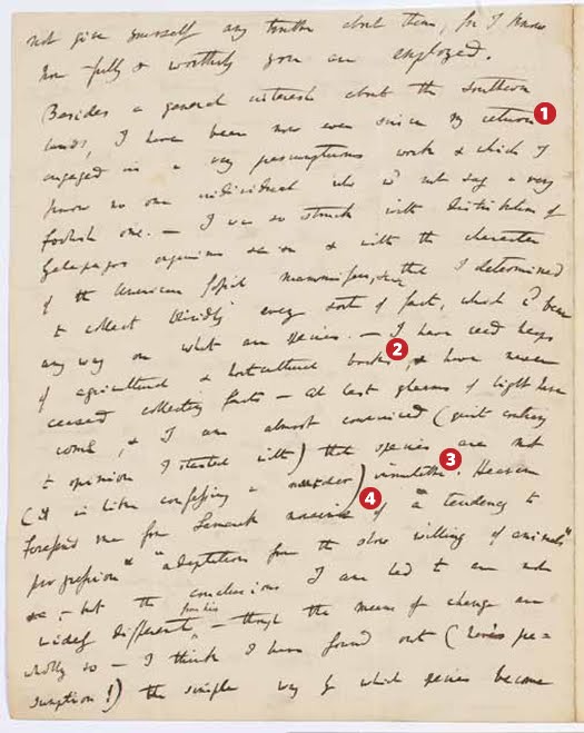 Like Confessing a Murder | Uncommon Descent