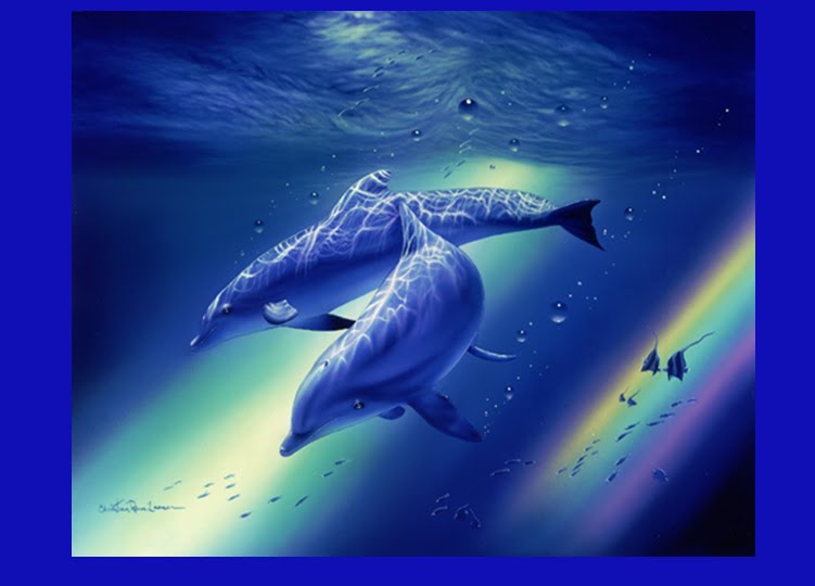 Delfines hermosos - Imagui