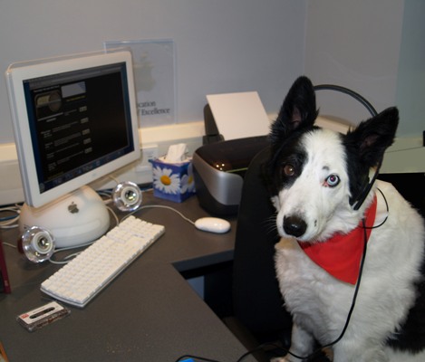 Momentos Desgarrados: Problema na Net ou no Call Centre