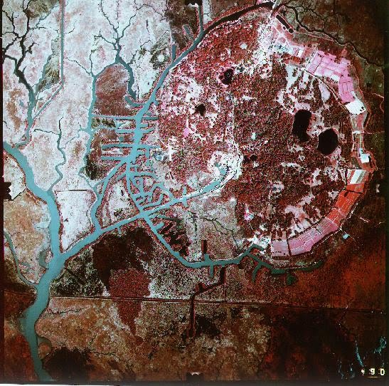 Bev's Antiquing, Schlepping, Schlogging, & Writing Blog Schlog: What ...