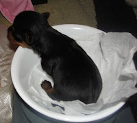 Bev's Antiquing, Schlepping, Schlogging, & Writing Blog Schlog: How to ...