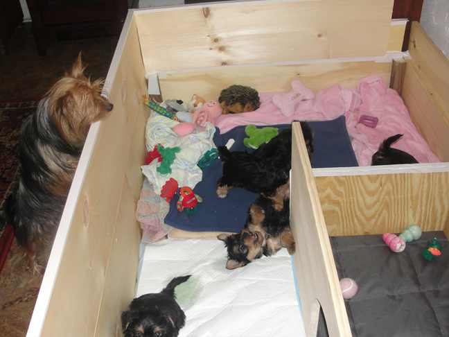 Bev's Antiquing, Schlepping, Schlogging, & Writing Blog Schlog: The ...