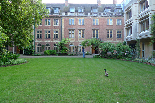 Bev's Antiquing, Schlepping, Schlogging, & Writing Blog Schlog: Tales ...