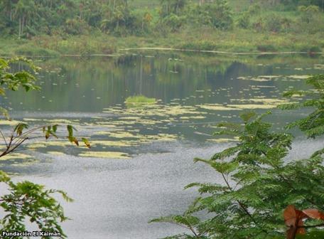 Huagra Ñaupa: Mache Chindul, una exuberante reserva tropical amenazada
