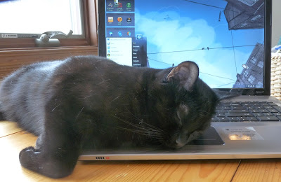 Whiskers & Wool: Computer Malfunction..