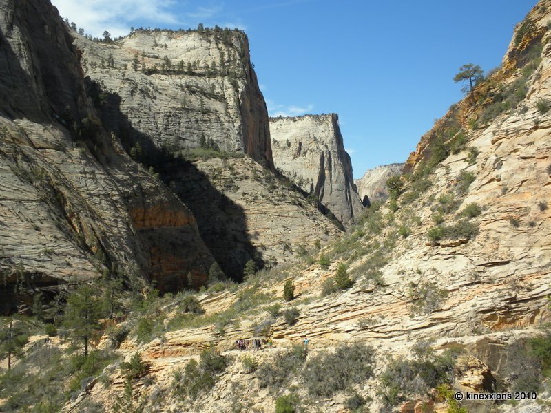 kinexxions: Observation Point