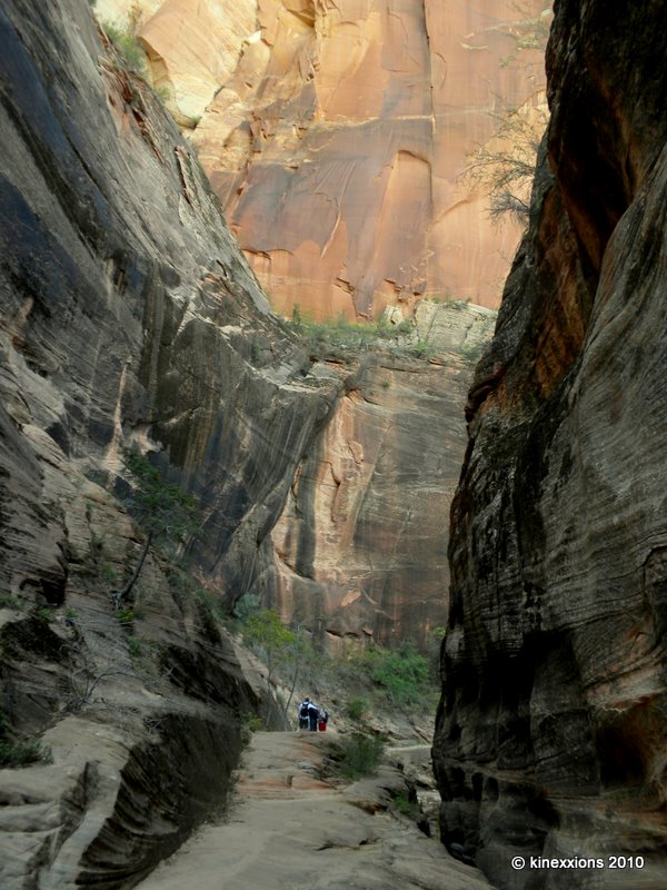 kinexxions: Observation Point