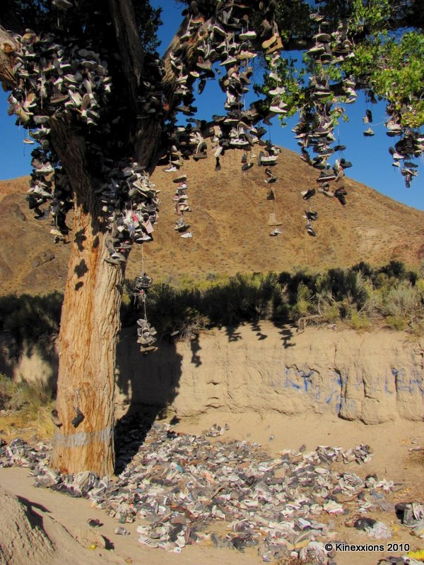 kinexxions: Redefining "Shoe Tree"