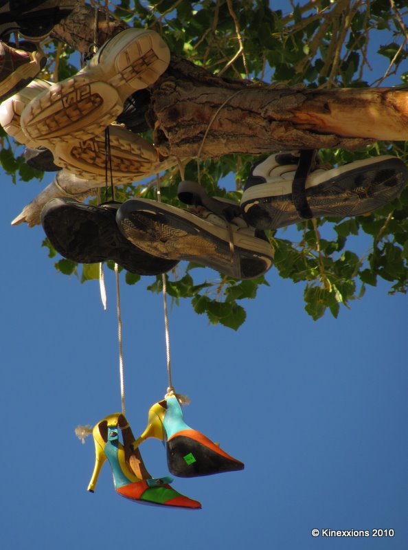 kinexxions: Redefining "Shoe Tree"