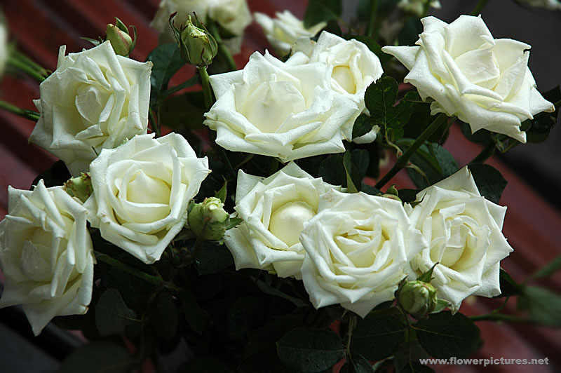 Artificial Flowers and Arrangements For Sale and Order
