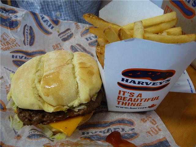 Canadian Hummingbirds: Harvey's in Canada