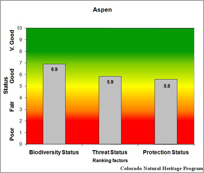CNHP Blog: Ecological Systems: Aspen Forests