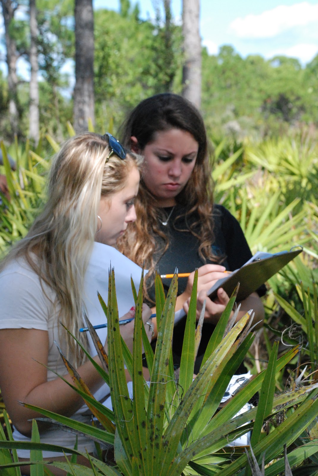 DuPuis Management Area