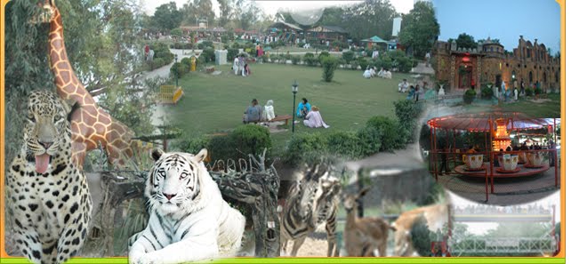 Jungle World Theme Park & Zoo