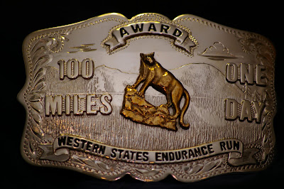 Eric Johnson's Adventures On The Trail: Western States 100 Mile Run