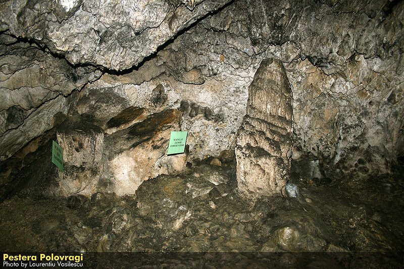 Pestera Polovragi