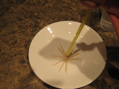 Almost Unschoolers: The Toothpick Star Trick - Fun With Capillary Action