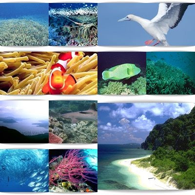 wOw Philippines: Philippine Wildlife: Marine Life