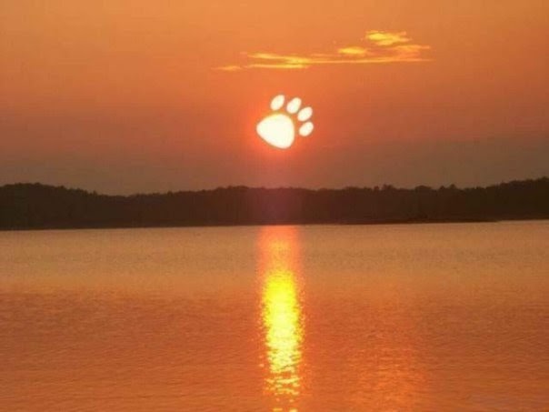 Clemson Girl: Clemson Sunset