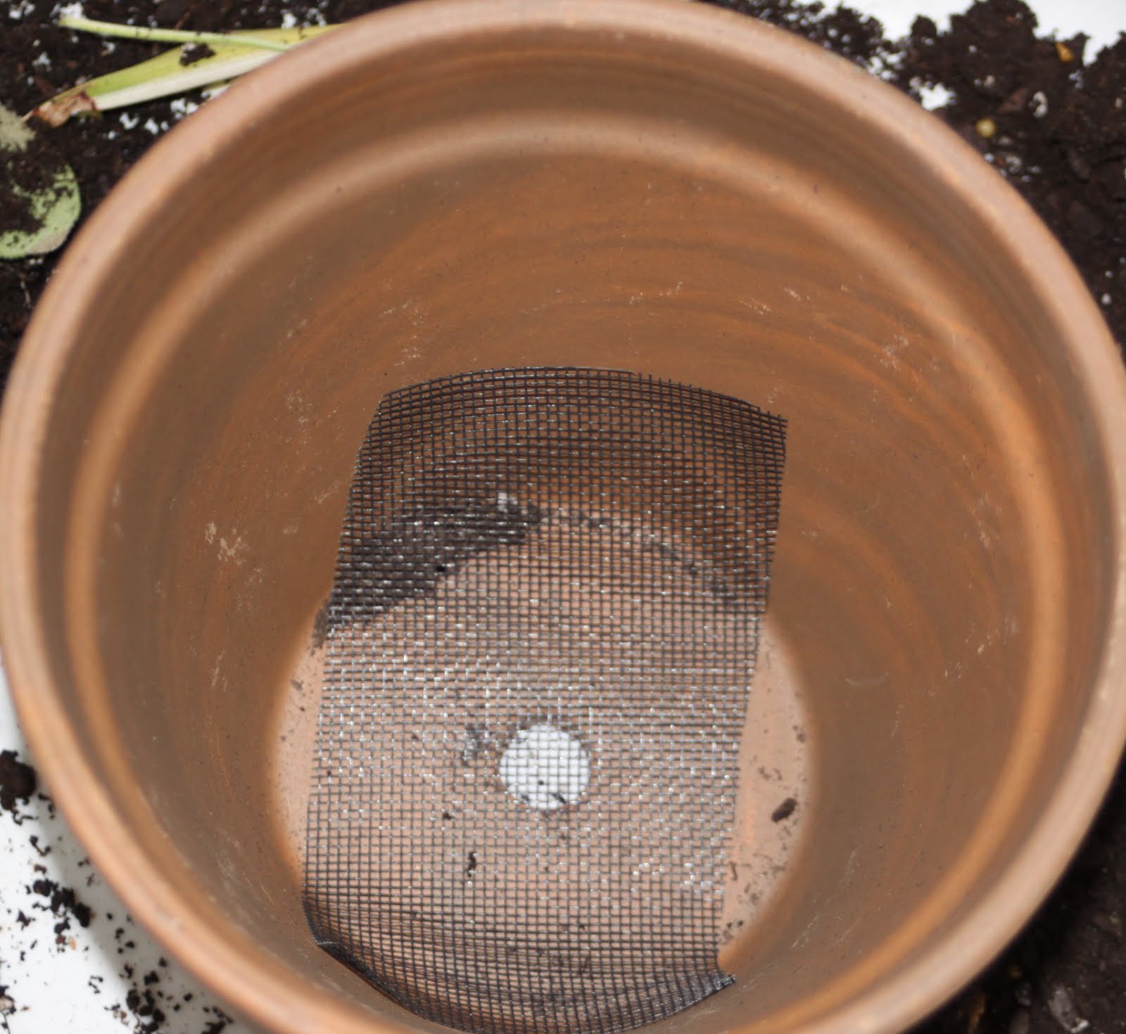 Garden on the Edge: Pot Party