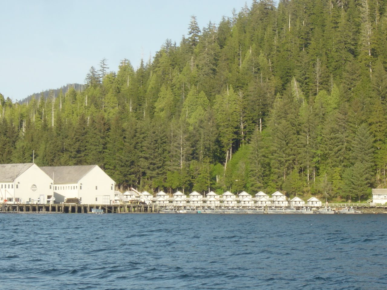Travels of the Blue Note: Dall Island oh my