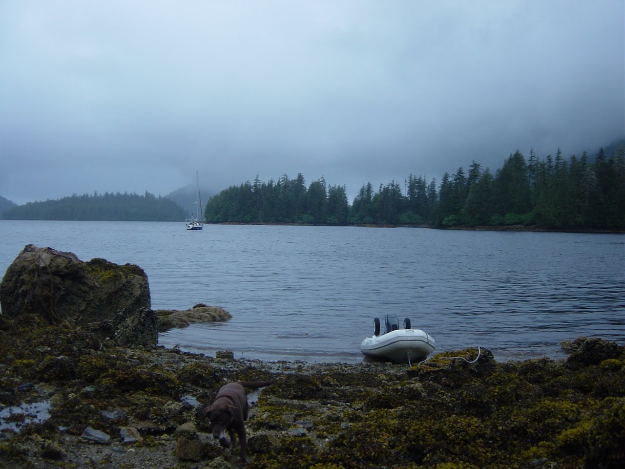Travels of the Blue Note: Dall Island oh my