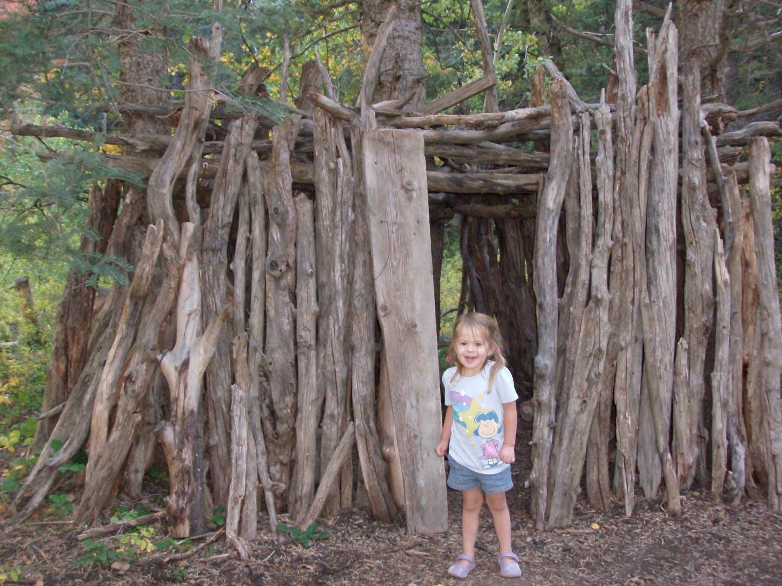 Chadwicks' Picture Place: Rocks, Sticks, and Leaves
