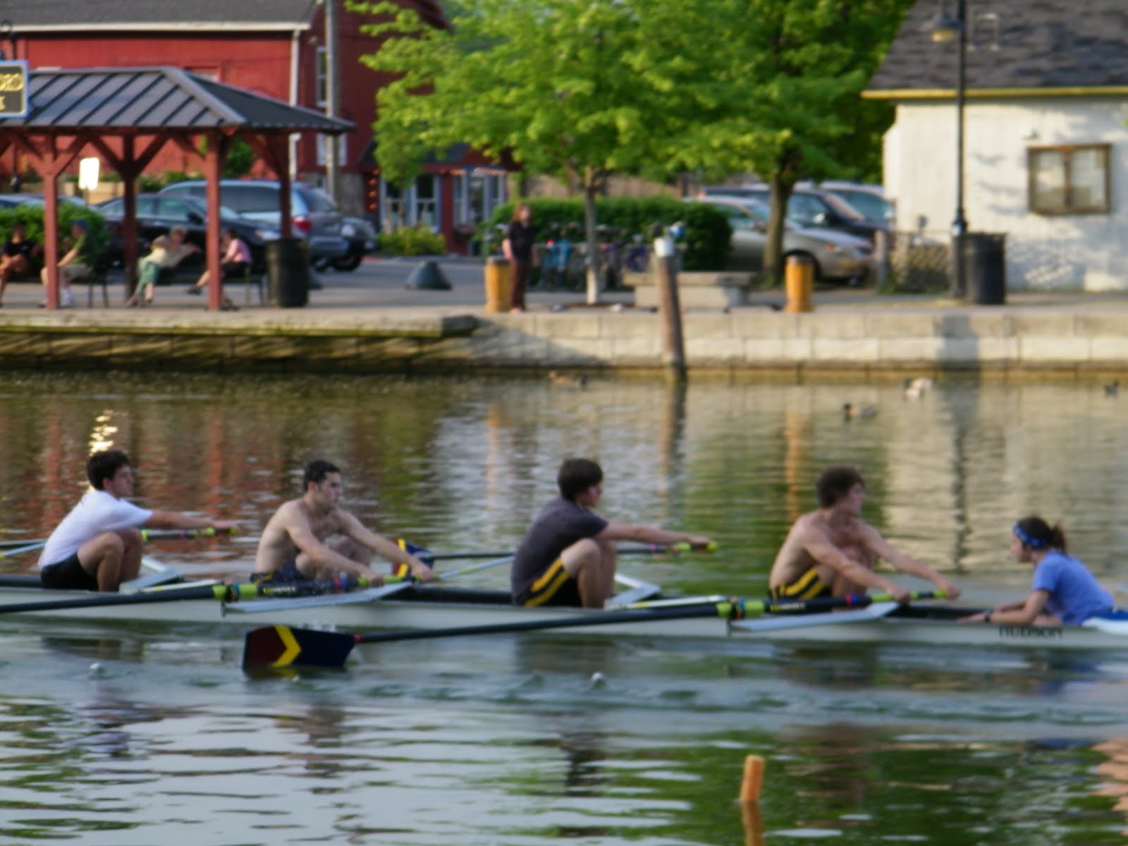 My Own Private Calenture: Row, Row Your Boat Gently Down the Stream ...