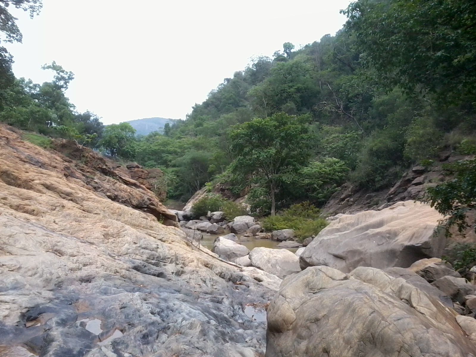 Pkgaran's Blog: Travelogue - Kalvarayan Hills - Periyar Falls - Megam Falls