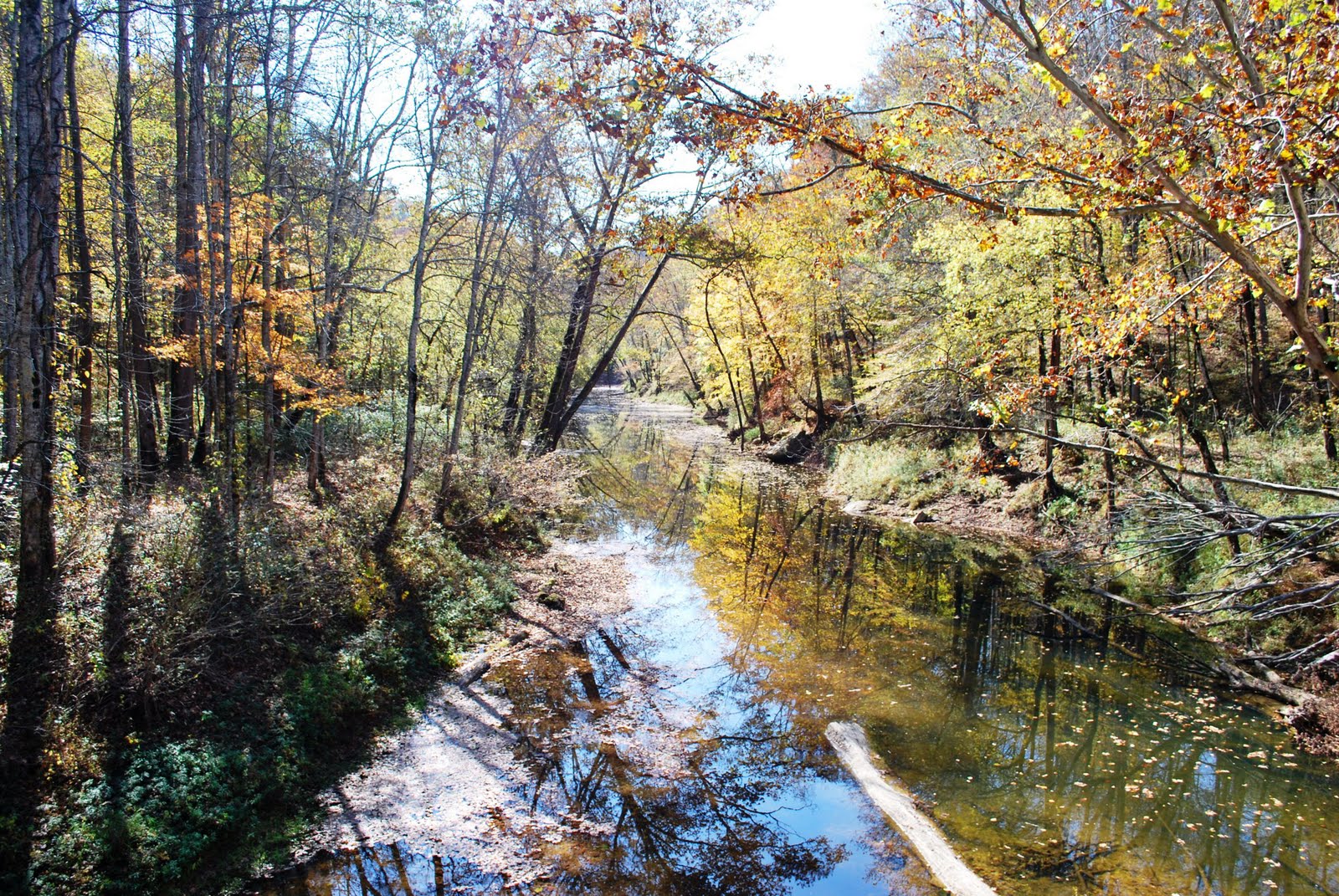 A Picture is Worth a Thousand Words: Daniel Boone National Forest, Kentucky