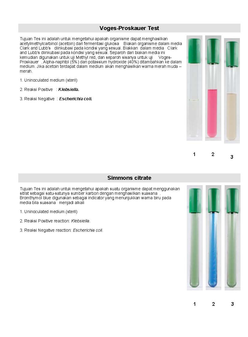 MIKROBIOLOGI UNTUK TEHNISI KESEHATAN: UJI BIOKIMIA