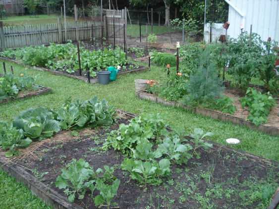 Gardening grows the spirit | down to earth