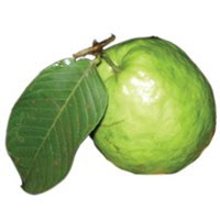 SAKSAKAN NG POGI: GUAPPLE: SAKSAKAN NG POGI