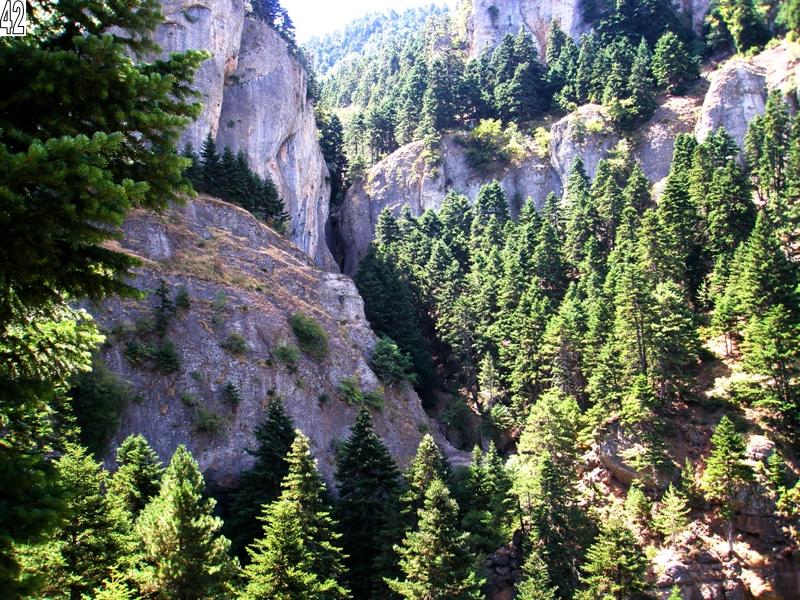 ΞΥΛΟΚΑΣΤΡΟ-ΕΥΡΩΣΤΙΝΗ