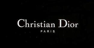 History of All Logos: All Christian Dior Logos