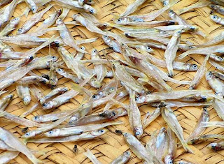 La cocina de Skychef: octubre 2008