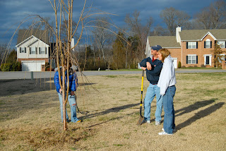 Master Creations: TREE PEOPLE!