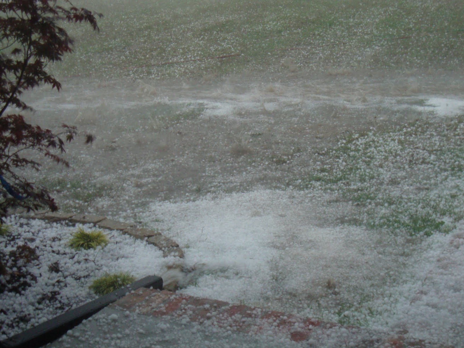 AlwaysUniqueThoughts.com: The worst hail storm in Oklahoma in 30 years!!