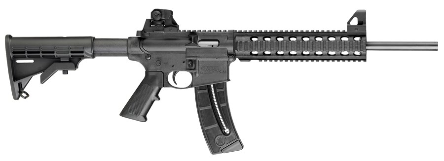 Christian Soldier Guns: NEW INFO ON .22 CALIBER RIM FIRE "ASSAULT WEAPONS"